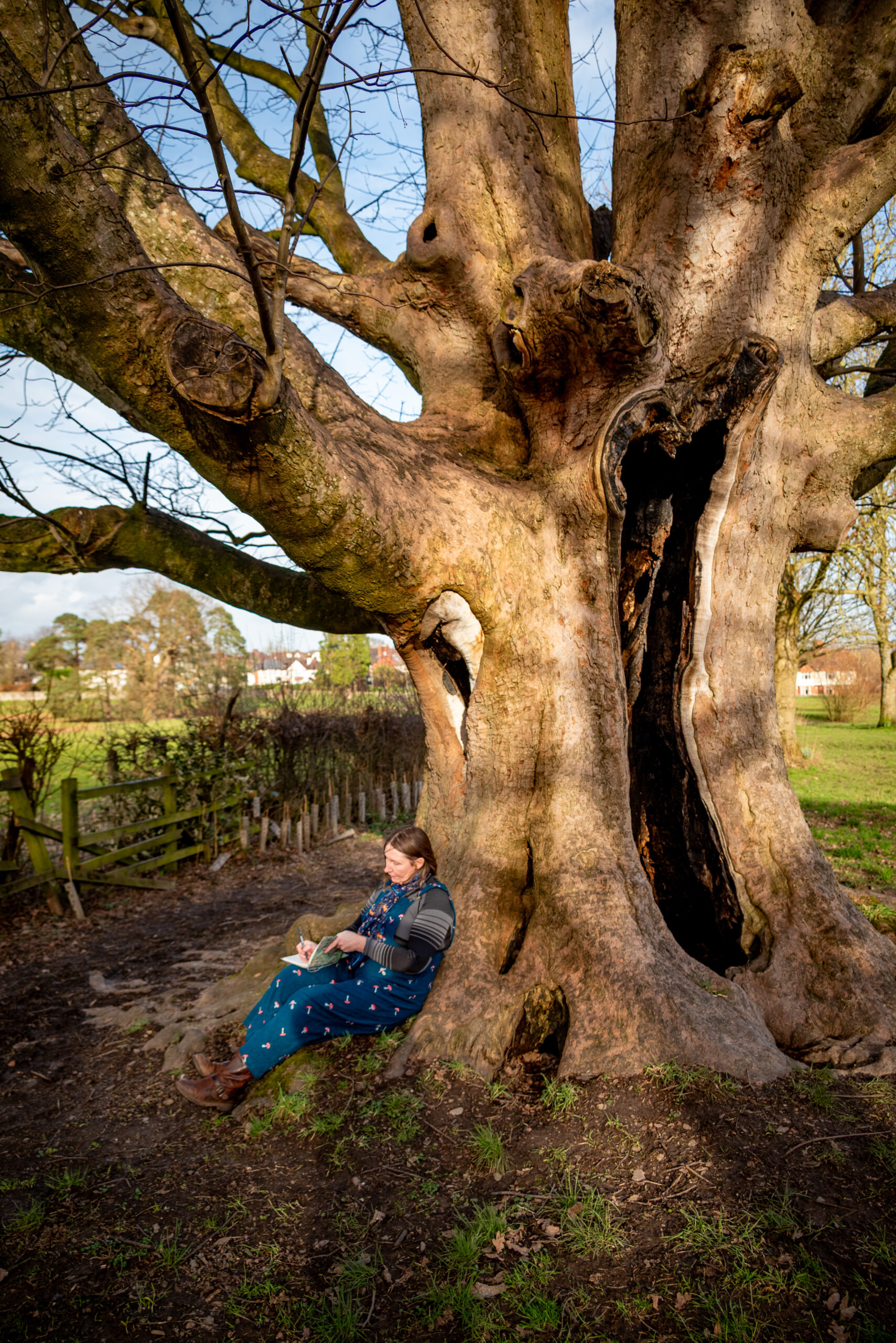 Soothe, Explore, Restore with Willow Hopkins - Lingen Davies